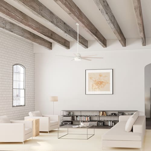 Hunter 70 Inch Ceiling Fans | Shelly Lighting