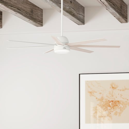 Hunter 70 Inch Ceiling Fans | Shelly Lighting